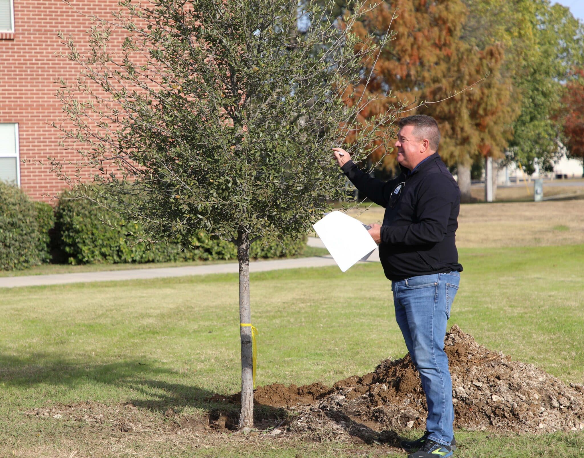 HPU celebrates Tree Campus USA Higher Education recognition with tree ...